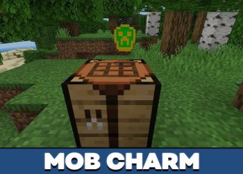 Download Minecraft PE Baubles Mod: Rings, Amulets, Charms