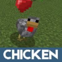 Download Chicken Mod for Minecraft Bedrock Edition