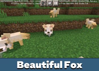 Download Fox Mod for Minecraft PE - Fox Mod for MCPE