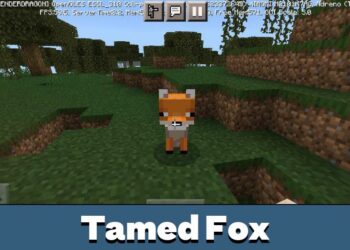 Download Fox Mod for Minecraft PE - Fox Mod for MCPE