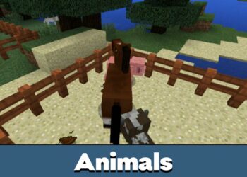 Download Poop Minecraft PE mod: unusual features