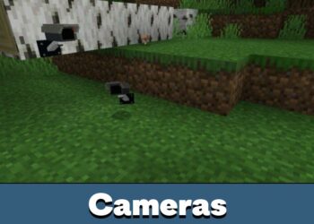 Download Camera Mod for Minecraft PE - Camera Mod for MCPE