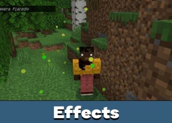 Download Camera Mod for Minecraft PE - Camera Mod for MCPE