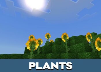 Download Console Shader for Minecraft PE - Console Shader for MCPE