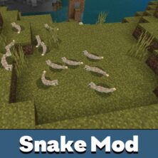 Download Animal Mods for Minecraft PE - Animal Mods for MCPE