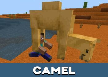 Download Pick Up and Carry Mod for Minecraft PE - Pick Up and Carry Mod ...