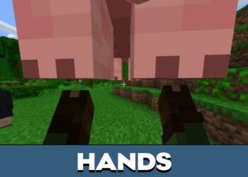 Download Pick Up and Carry Mod for Minecraft PE - Pick Up and Carry Mod ...