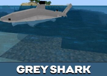 Download Shark Mod for Minecraft PE - Shark Mod for MCPE