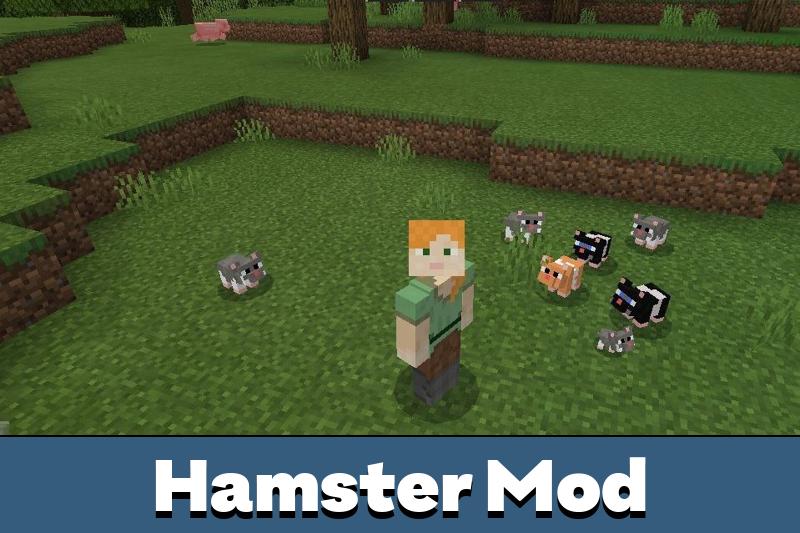 Download Hamster Mod for Minecraft Bedrock Edition