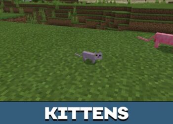 Download Cat Texture Pack for Minecraft PE - Cat Texture Pack for MCPE