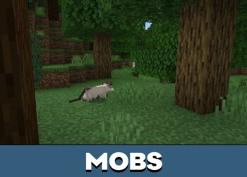 Download Cat Texture Pack for Minecraft PE - Cat Texture Pack for MCPE