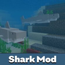 Download Sea Animals for Minecraft PE - Sea Animals Mods for MCPE