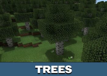 Download Shadow Texture Pack for Minecraft PE - Shadow Texture Pack for ...