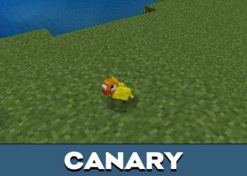 Download Bird Mod for Minecraft PE - Bird Mod for MCPE