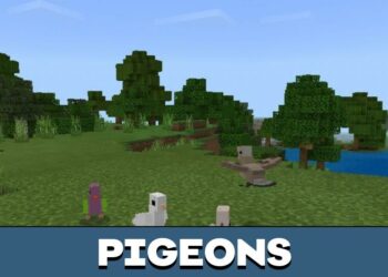 Download Bird Mod for Minecraft PE - Bird Mod for MCPE
