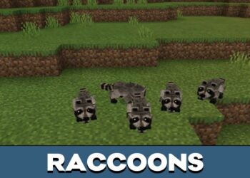 Download Rat Mod for Minecraft PE - Rat Mod for MCPE