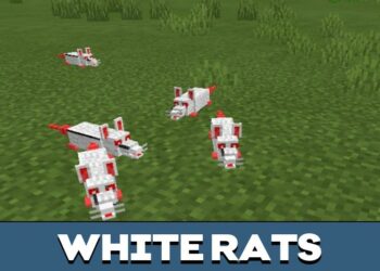 Download Rat Mod for Minecraft PE - Rat Mod for MCPE