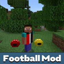 Download Minecraft PE Sport Mods: additional items