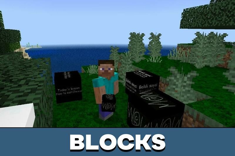 Download Baldi Mod for Minecraft PE - Baldi Mod for MCPE
