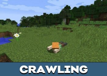 Download Minecraft PE 1.20.1 apk free: Trails and Tales