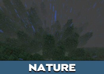 Download Washington Map for Minecraft PE - Washington Map for MCPE