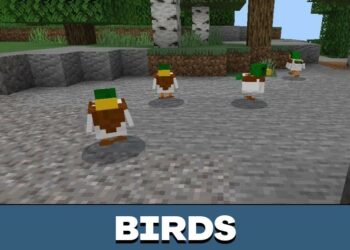 Download Duck Mod for Minecraft PE - Duck Mod for MCPE