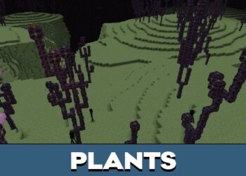 Download Ender World Mod for Minecraft PE - Ender World Mod for MCPE