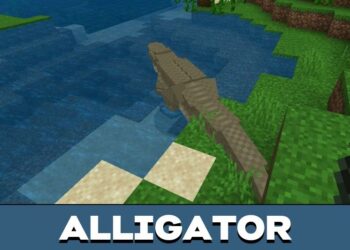 Download Dolphins Mod for Minecraft PE - Dolphins Mod for MCPE
