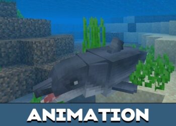 Download Dolphins Mod for Minecraft PE - Dolphins Mod for MCPE