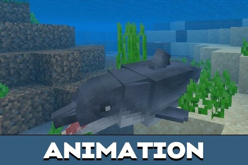 Download Dolphins Mod for Minecraft PE - Dolphins Mod for MCPE