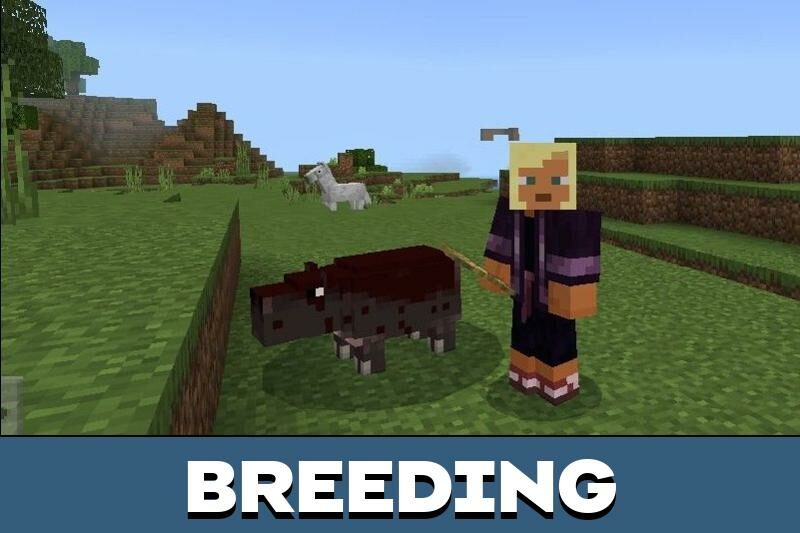 Download Hippo Mod for Minecraft PE - Hippo Mod for MCPE