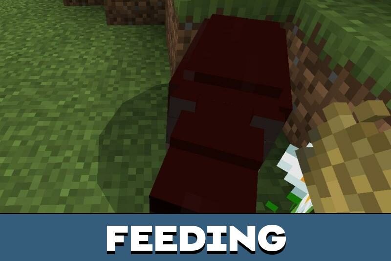 Download Hippo Mod for Minecraft PE - Hippo Mod for MCPE