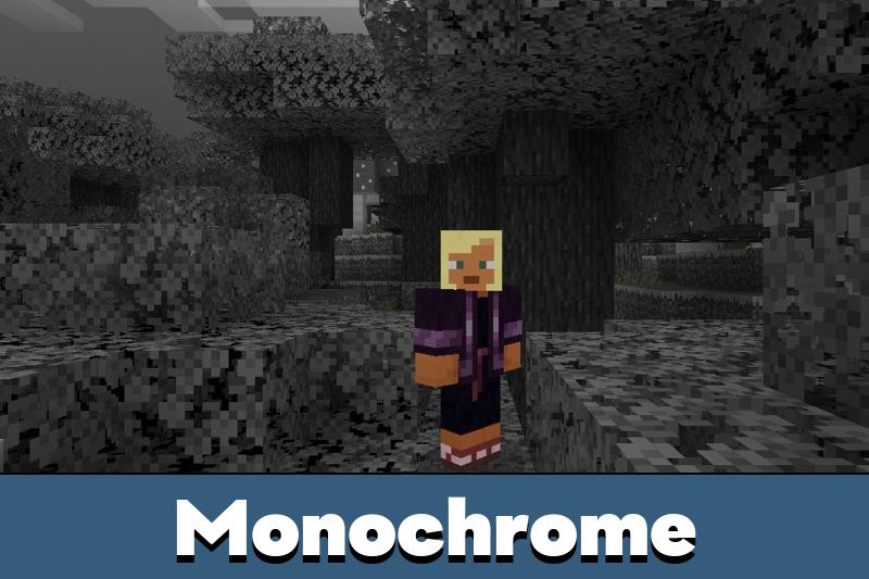 Download Monochrome Texture Pack for Minecraft PE - Monochrome Texture ...