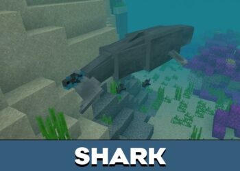 Download Ocean Creatures Mod for Minecraft PE - Ocean Creatures Mod for ...