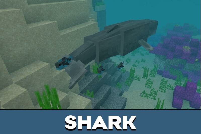Download Ocean Creatures Mod for Minecraft PE - Ocean Creatures Mod for ...