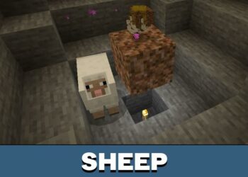 Download Magic Block Map for Minecraft PE - Magic Block Map for MCPE