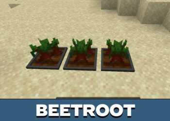 Download Bonsai Mod for Minecraft PE - Bonsai Mod for MCPE