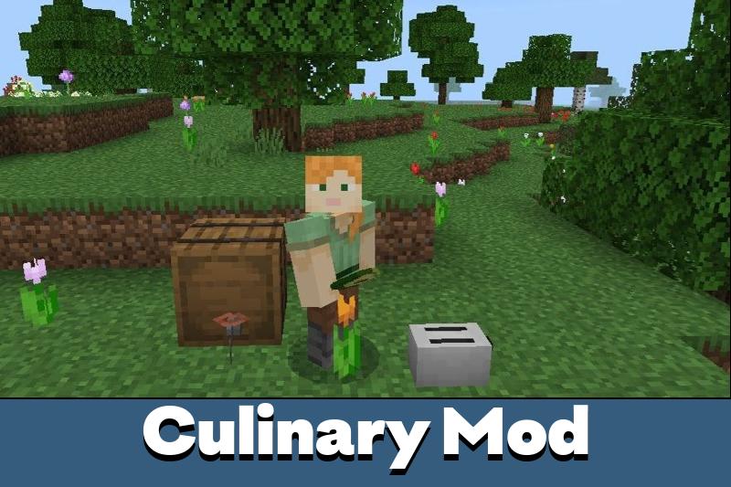 Download Culinary Mod for Minecraft PE - Culinary Mod for MCPE
