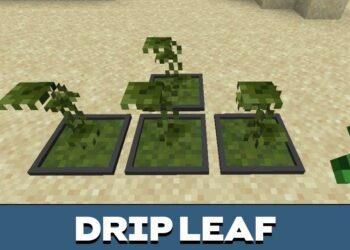 Download Bonsai Mod for Minecraft PE - Bonsai Mod for MCPE