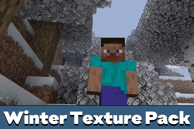 Download Winter Texture Pack for Minecraft PE - Winter Texture Pack for ...
