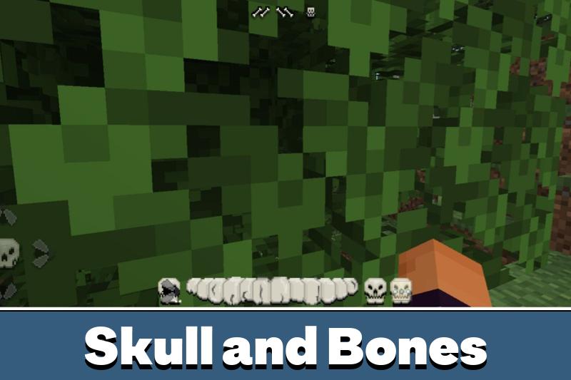 Download Skull and Bones Texture Pack for Minecraft PE - Skull and ...