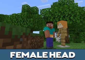 Download Head Texture Pack for Minecraft PE - Head Texture Pack for MCPE