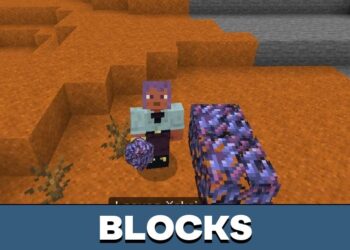 Download Raccoon Mod for Minecraft PE - Raccoon Mod for MCPE