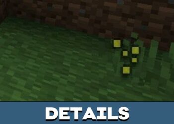 Download Bubble Texture Pack for Minecraft PE - Bubble Texture Pack for ...