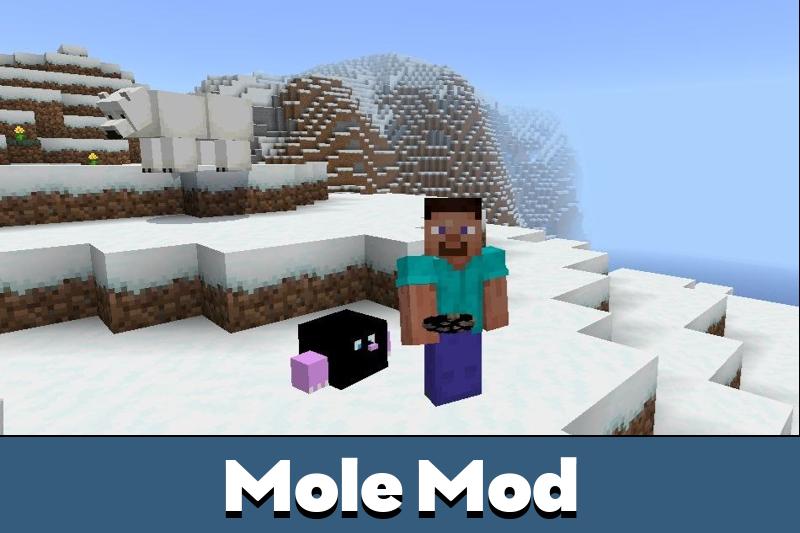 Download Mole Mod for Minecraft PE - Mole Mod for MCPE