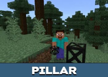 Download Party Craft Mod for Minecraft PE - Party Craft Mod for MCPE