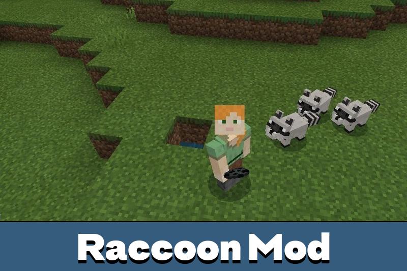 Download Raccoon Mod for Minecraft PE - Raccoon Mod for MCPE