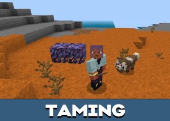 Download Raccoon Mod for Minecraft PE - Raccoon Mod for MCPE