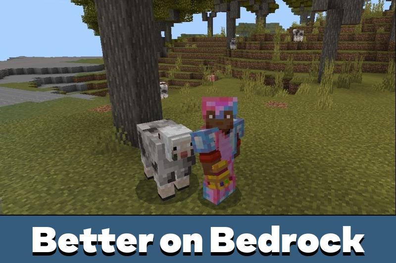 Download Better on Bedrock Mod for Minecraft Bedrock Edition