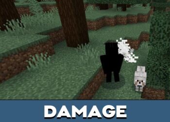Download Shadow Mod for Minecraft PE - Shadow Mod for MCPE